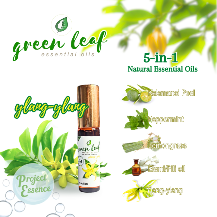Green Leaf 5-in-1 Essential Oil in 5ml rollete | Lazada PH
