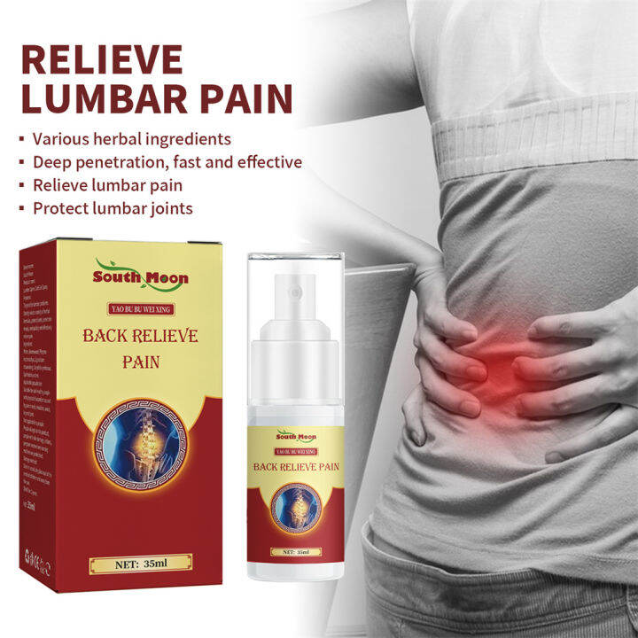 South Moon Authentic lumbar position type cold compress gel spray ...
