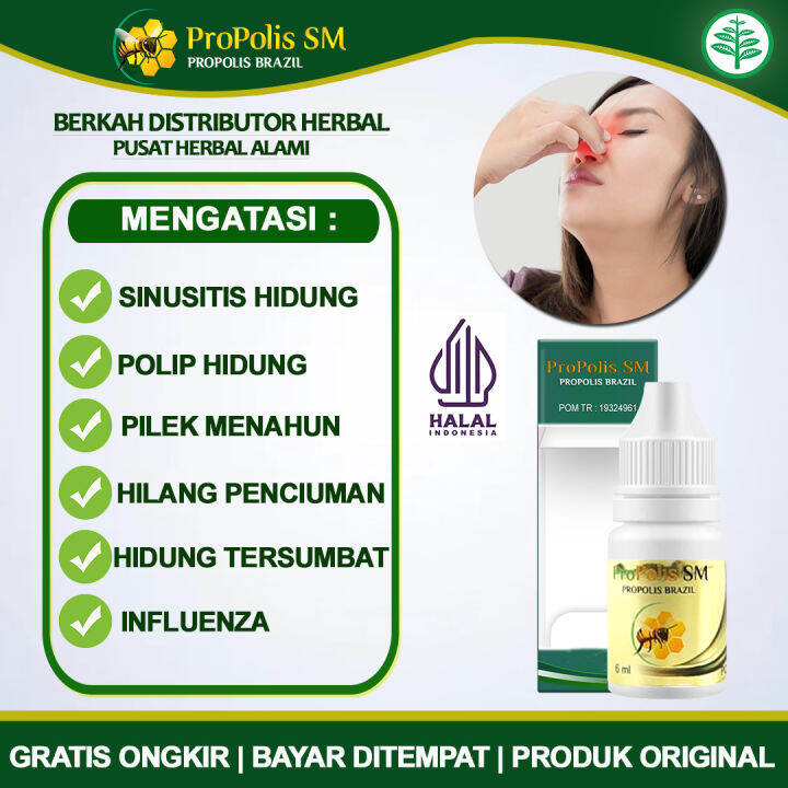 Obat Tetes Sinusitis, Polip Hidung, Pilek Menahun, Obat Hilang ...