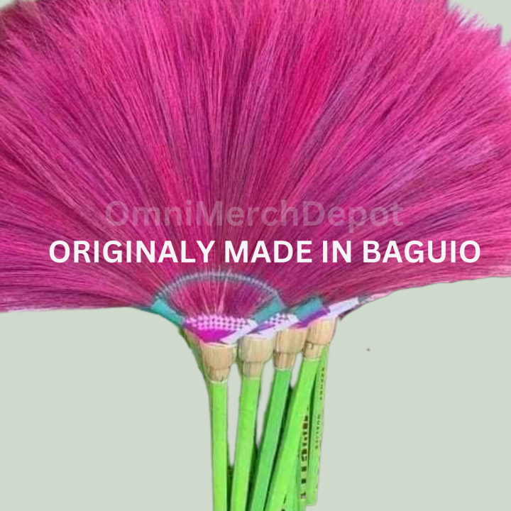 Large Pink Soft Broom Walis Tambo Makapal & Matibay with Cartex ...