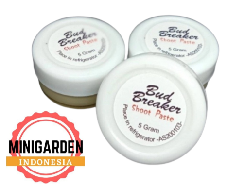 BUD BREAKER 5 GRAM CEPUK hormon penumbuh tunas anggrek salep keiki zpt ...