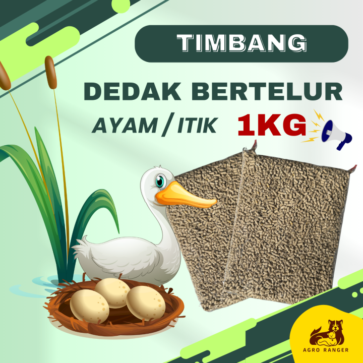1KG Makanan Itik Telur / Dedak Itik Penelur / Special Duck Egg Feed ...