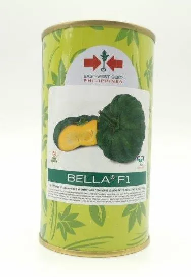 SQUASH BELLA SEEDS BY EAST WEST 850 SEEDS CAN | Lazada PH