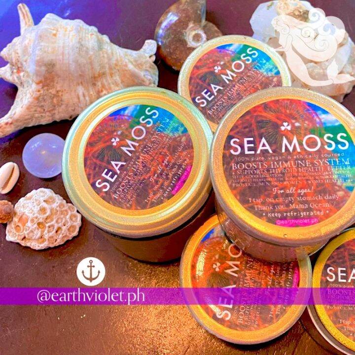 AJDL sellgyiaart Medicinal Algae ☘︎ Dr. Sebi Sea Moss Gel Irish Moss ...