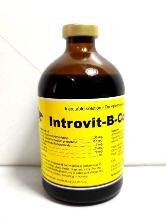 [G&G] INTROVIT B-COMPLEX / 100ML / GAMEFOWL CATTLE GOAT SHEEP SWINE ...