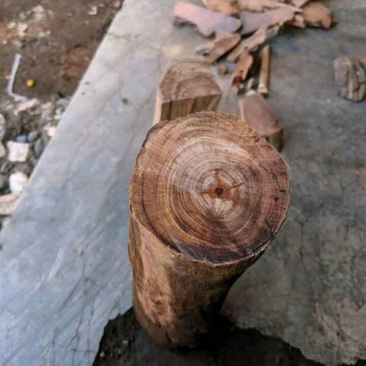 bahan kayu gaharu atau kayu raja Agatis tembus cahaya | Lazada Indonesia