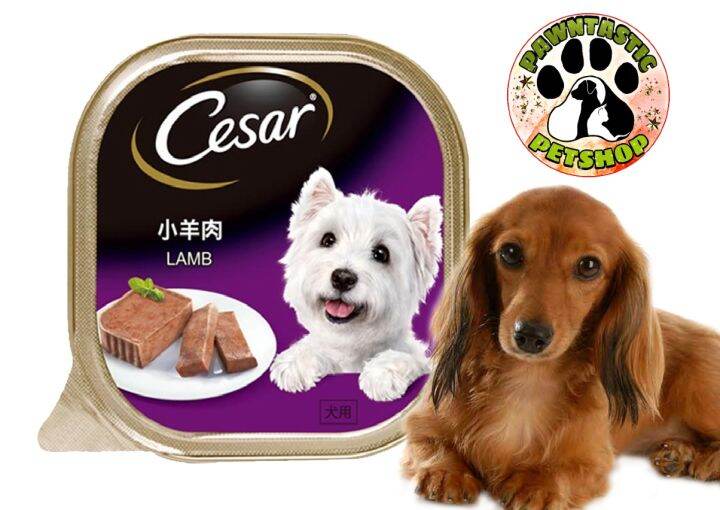 Cesar Can Dog Wet Food 100g - Lamb | Lazada PH