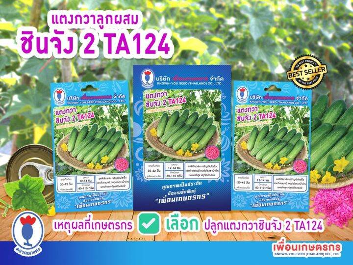 เมล็ดแตงกวา TA124 ผลสีเขียวเข้ม ความยาวผล 12-14 ซม. น้ำหนักผล 80-110 กรัม โตเร็ว ผลผลิตสูง ...