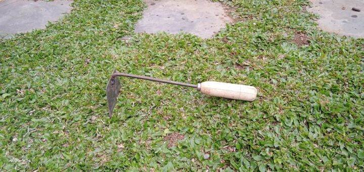 cankul mini model persegi/kored rumput kotak | Lazada Indonesia