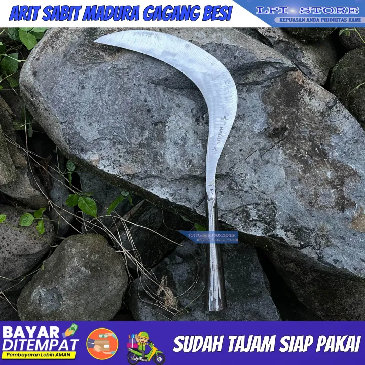 Arit Sabit Madura Asli Super Tajam Gagang Besi Anti Goblak / Sabit ...
