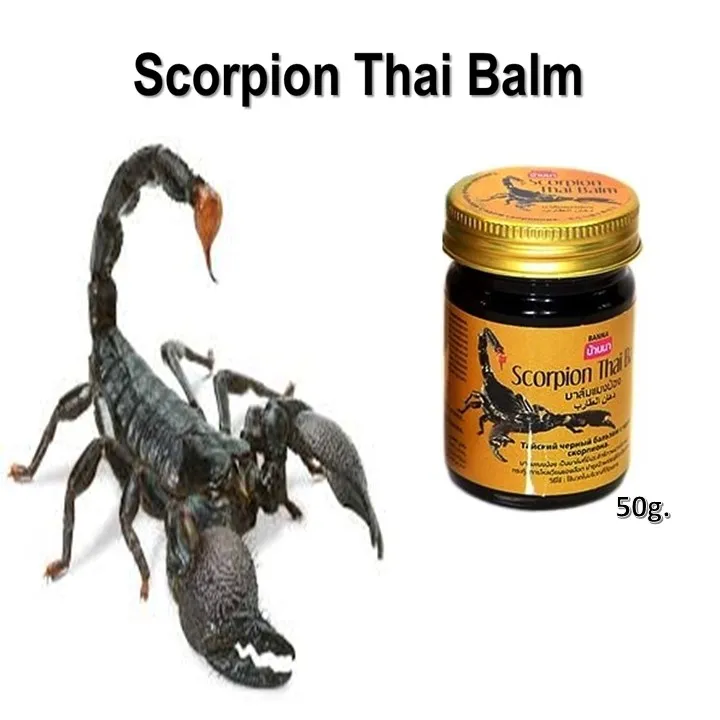 ยาหม่องแมงป่อง Scorpion Balm Banna | Lazada.co.th