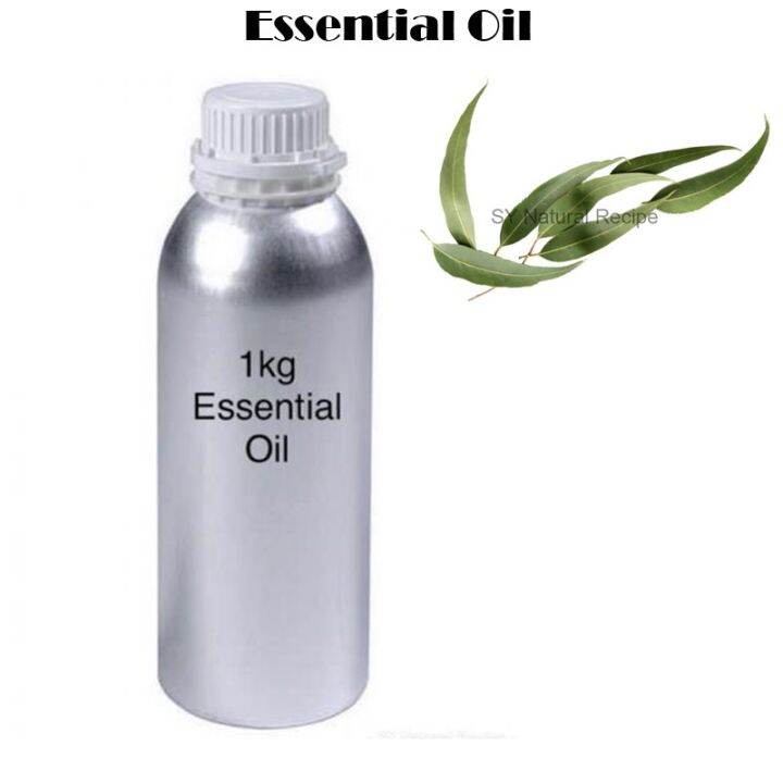 Eucalyptus Blue Gum (Eucalyptus Globulus) Essential Oil 桉树 / 蓝胶尤加利精油 ...