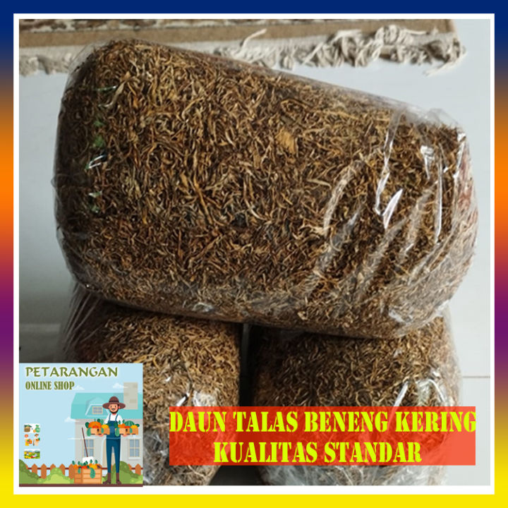 Daun Talas Beneng Kering 1Kg 1000g Daun Tales Kering Beneng PREMIUM ...