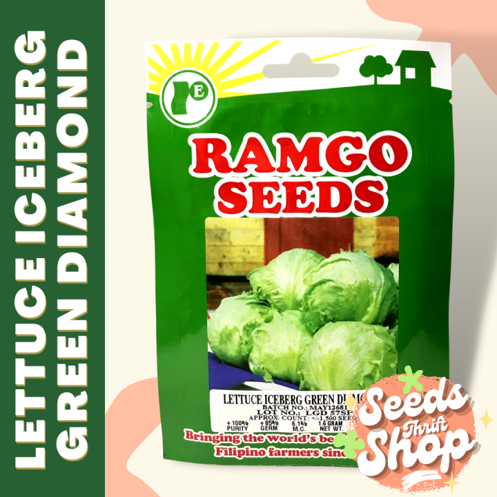 LETTUCE ICEBERG GREEN DIAMOND - RAMGO SEEDS - SACHET | Lazada PH