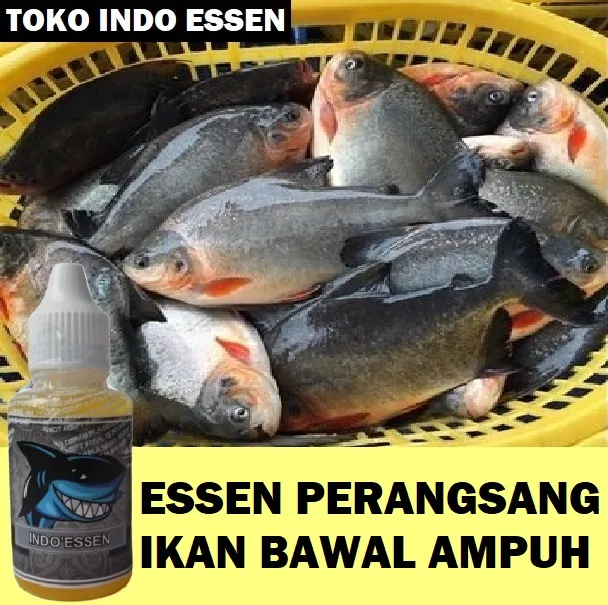 [BISA COD] Essen Perangsang Ikan Bawal Paling Ampuh 30ml | Lazada Indonesia