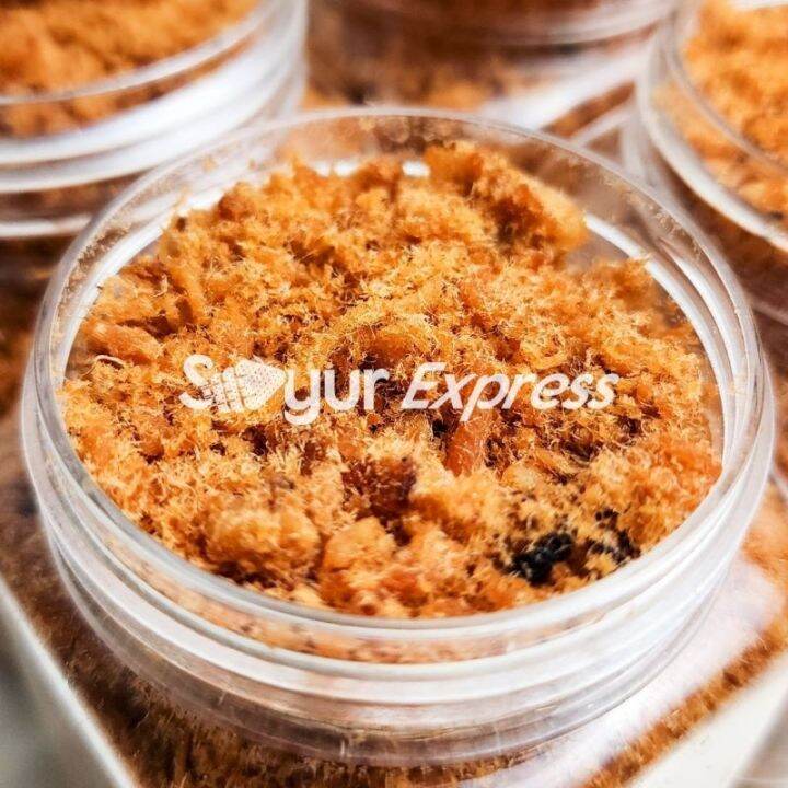 KIRIM INSTAN Abon Ayam Homemade NON MSG | Lazada Indonesia