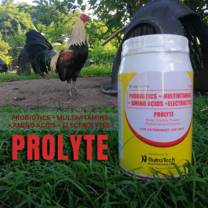Prolyte1KG Water Soluble Powder Performance Enhancer "5 in 1 ...