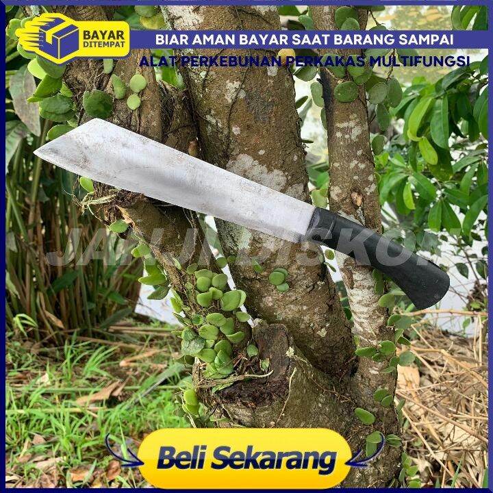 Golok Panguseupan Tebas Kayu Ranting Pohon Kelapa Serbaguna Baja Per ...