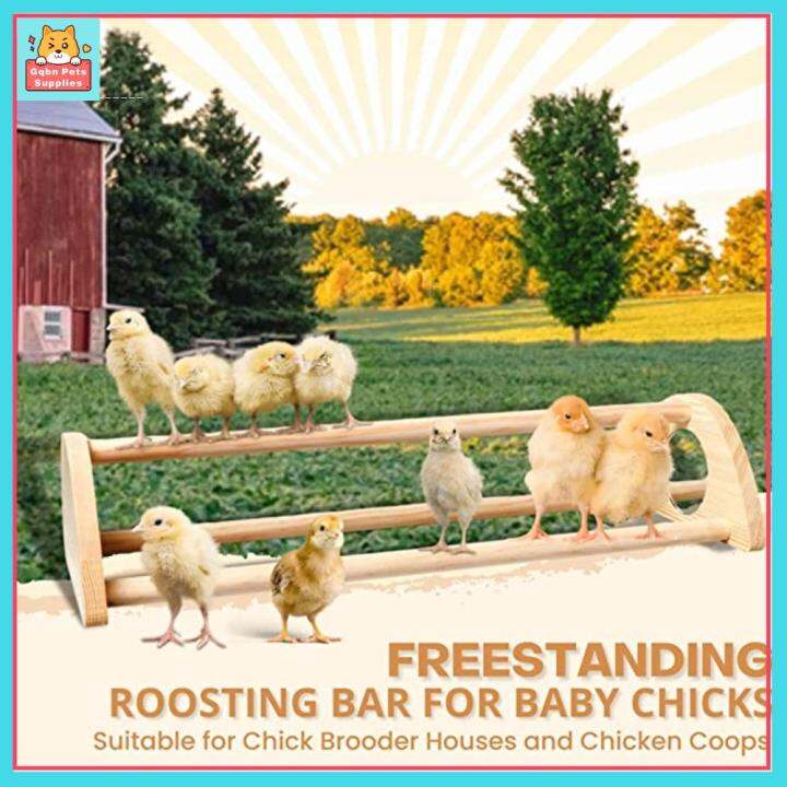 GQBN44V3 Coop Chicken Perch Baby Chick Stand Chicken Jungle Gym Chicken ...