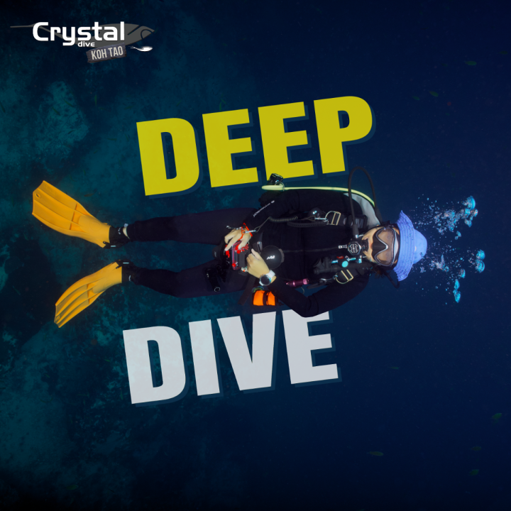 Deep Dive | Lazada.co.th