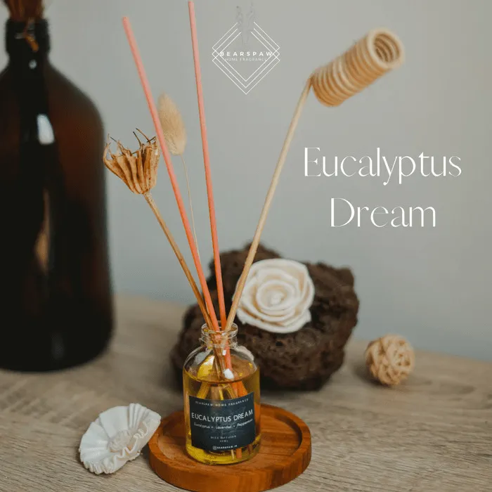 reed diffuser eucalyptus dream/eucalyptus 50ml aromatherapy free stick ...