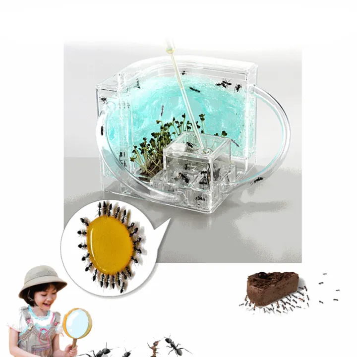 Ant Farm Castle Ant Habitat Science Learning Kit Educational Kids Toy ...