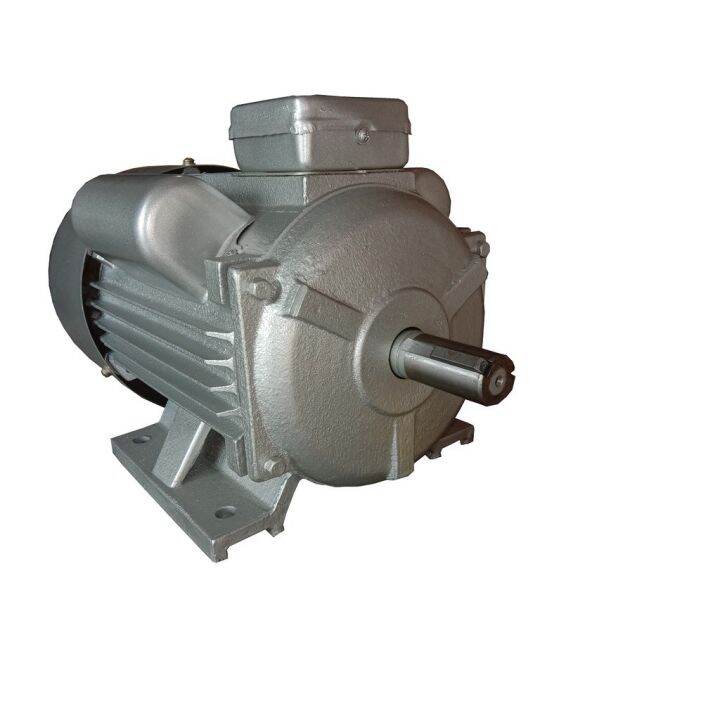 Mindong Electric Motor 2HP Single Phase | Lazada PH
