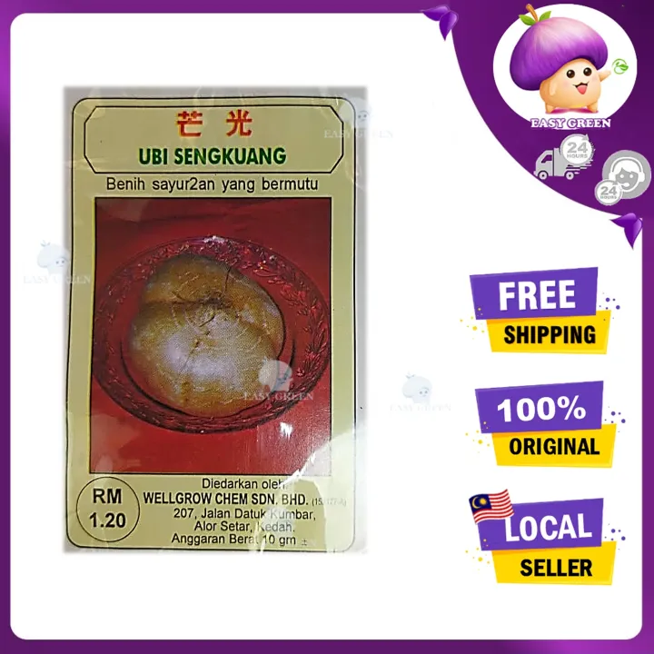 SFS UBI SENGKUANG/WG UBI SENGKUANG/BIJI BENIH UBI SENGKUANG/TURNIP ...