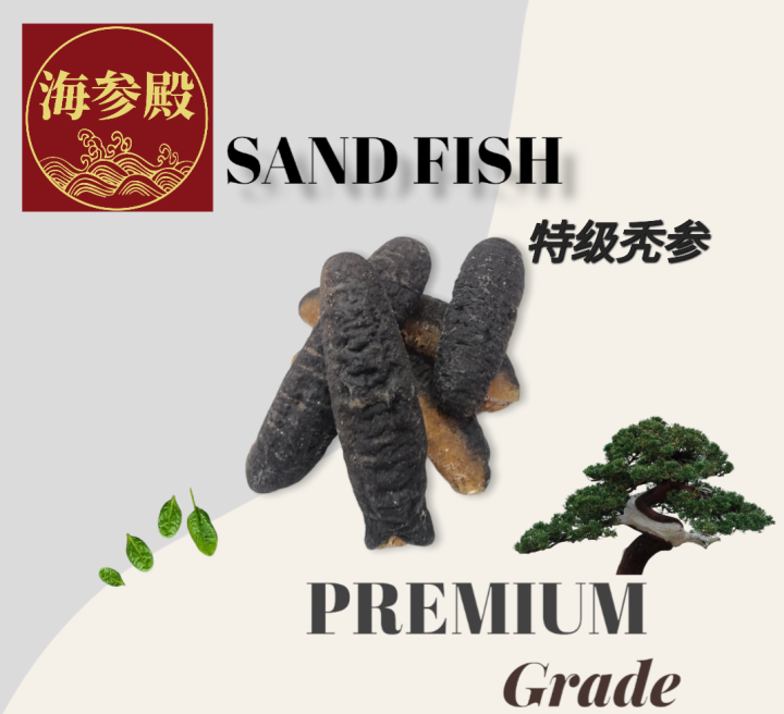 Sri Lanka Sand Fish Sea Cucumber 秃参 | Lazada Singapore