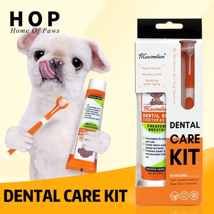 Pet Toothpaste Dental Care Kit 100g (Vanilla Taste) | Lazada PH