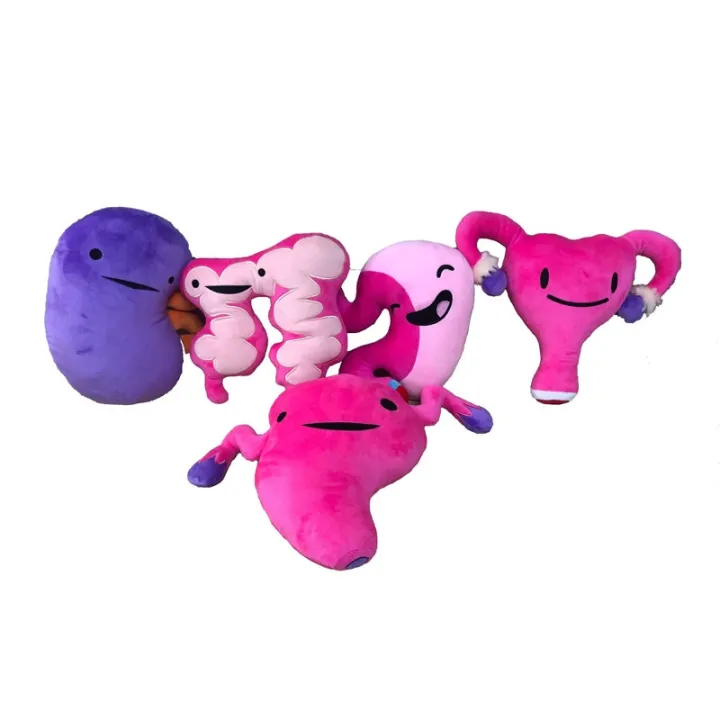 【NOV】 2022 28CM Human Organs Plush Toys Soft Cartoon Large Intestine ...