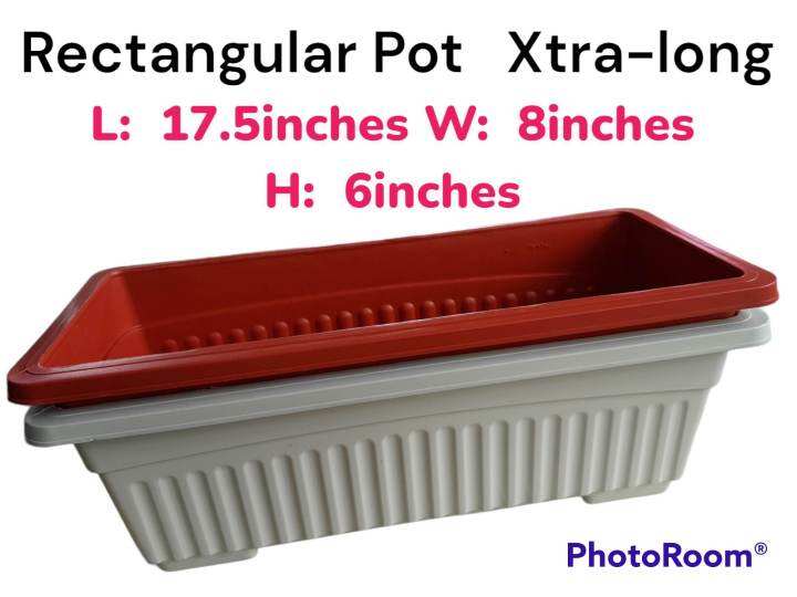 Rectangular Pot (Xtra-long size) | Lazada PH