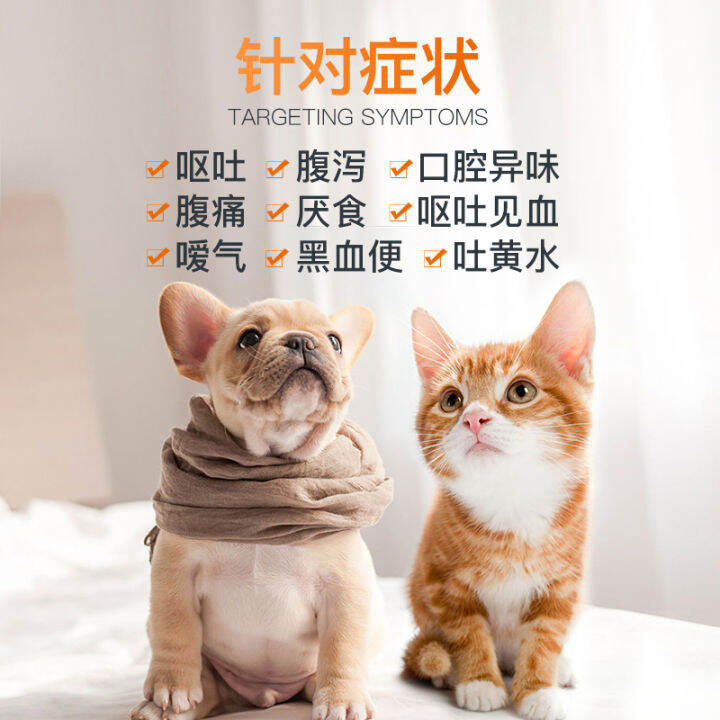 Puente Puxiting Cats Vomiting Dogs Spitting Yellow Water and Foaming ...