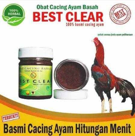 obat cacing best clear paling ampuh pembasmi cacing ayam tarung srama ...