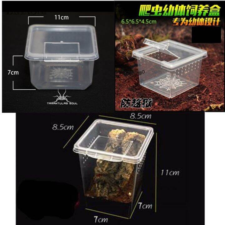 33/10/7PC Of Reptile Feeding Box Spider Larva Transparent Plastic ...