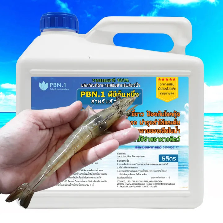PBN.1 โปรไบโอติกสำหรับสัตว์น้ำ 5 ลิตร (สูตรใหม่) ผลิตภัณฑ์จากธรรมชาติ ...