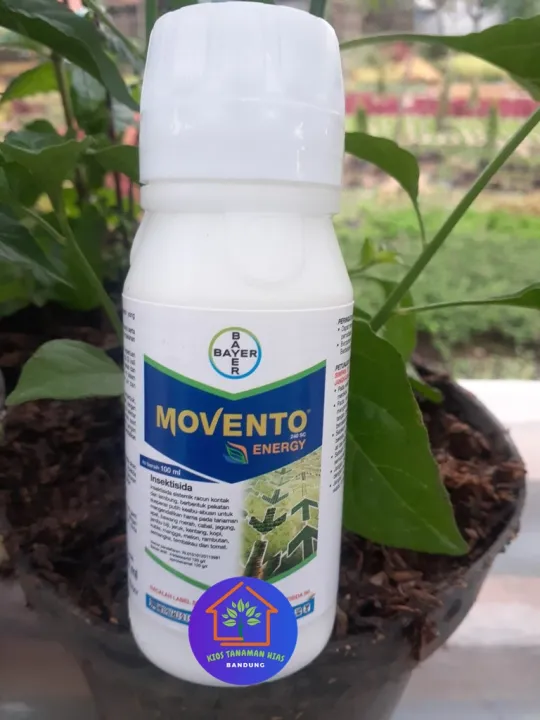 COD Insektisida Movento Energy 240SC 100ml Original Bayer | Lazada ...