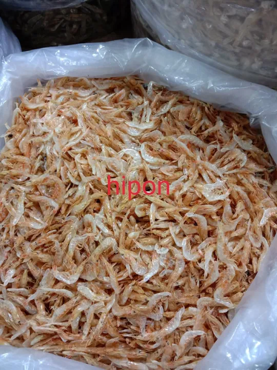 DRIED HIPON (250G, 500G, 750G, 1000G) | Lazada PH