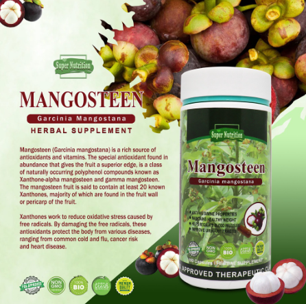 Authentic Mangosteen Supplement Capsules 500mg Bottle of 100 (Garcinia ...