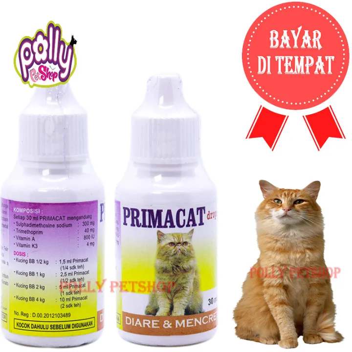 PRIMA CAT OBAT DIARE MENCRET KUCING SAKIT PENCERNAAN BUANG AIR BESAR ...