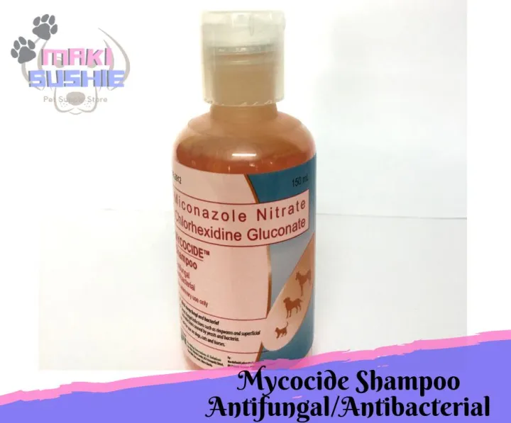 Miconazole Nitrate Mycocide 150ml Shampoo | Lazada PH