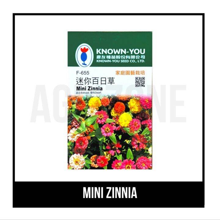KNOWN-YOU Seeds Mini Zinnia F-655 | Lazada PH