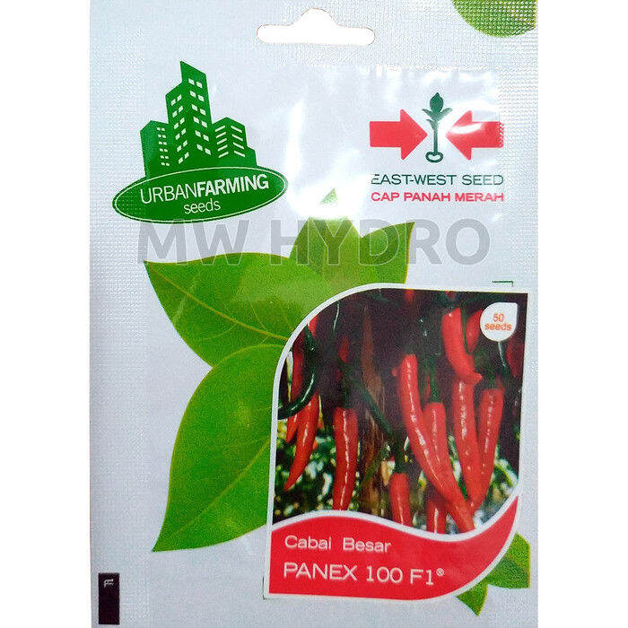 Benih Cabai Besar PANEX 100 F1 - Panah Merah / East West Seed | Lazada ...