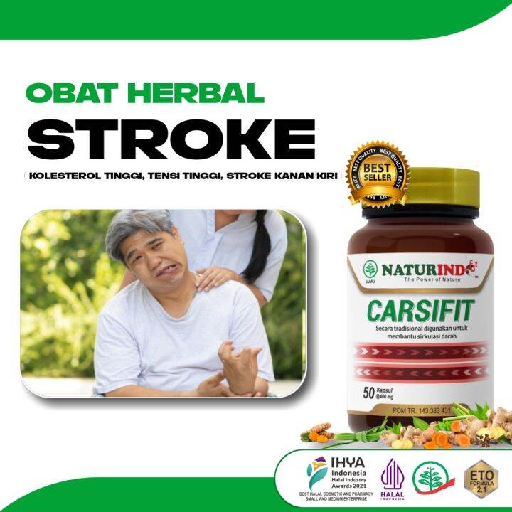 Carsifit Naturindo Fit Obat Herbal Penyembuhan Penyakit Stroke | Lazada ...