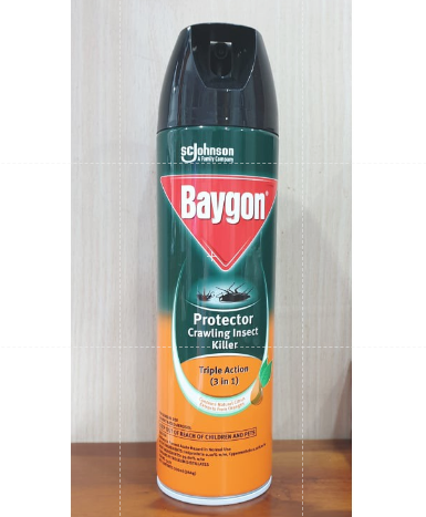 Baygon Protector Crawling Insect Killer 500ml | Lazada PH