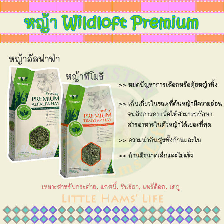 Wildloft หญ้าคุณภาพพรีเมี่ยม สำหรับกระต่าย แกสบี้ ชินชิล่า แพรี่ด็อก ...