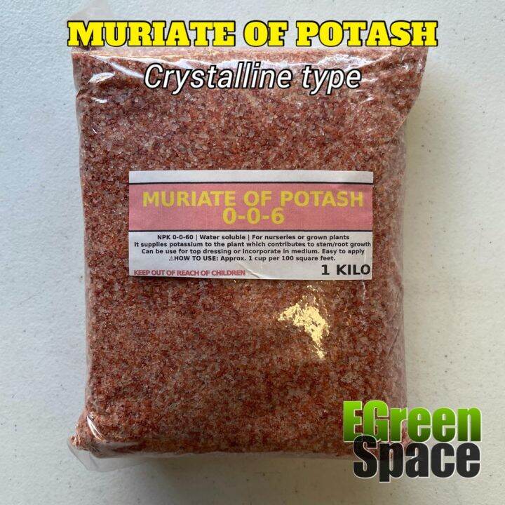 MURIATE OF POTASH (1KILO) POTASSIUM FERTILIZER | Lazada PH