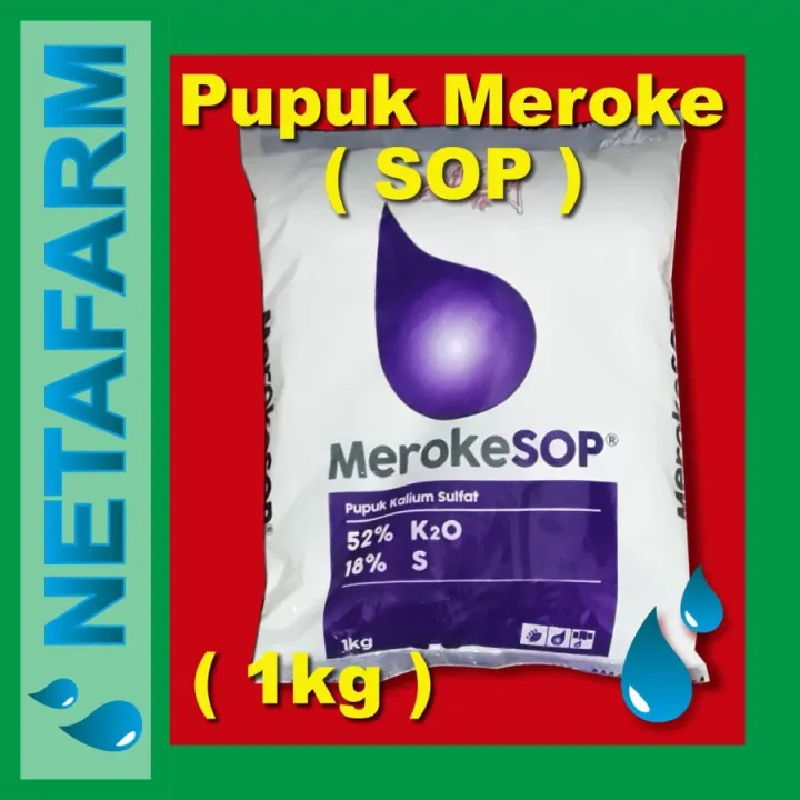 Pupuk Meroke SOP Kemasan 1 kg | Lazada Indonesia