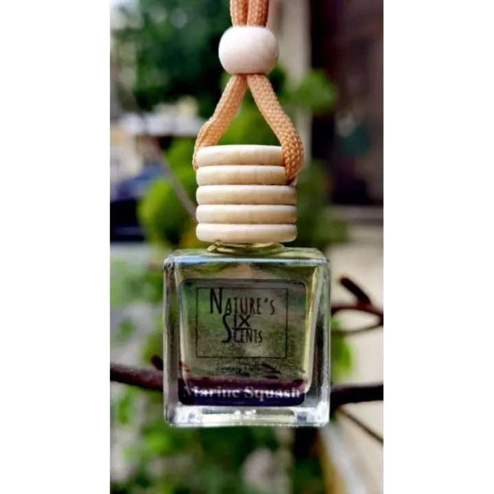 Hanging Diffuser for Car, Room, bathroom | Lazada PH