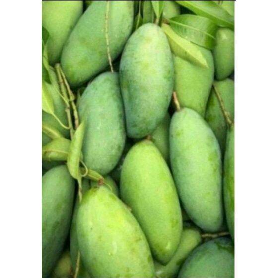 mangga lemak manis masak 2kg | Lazada